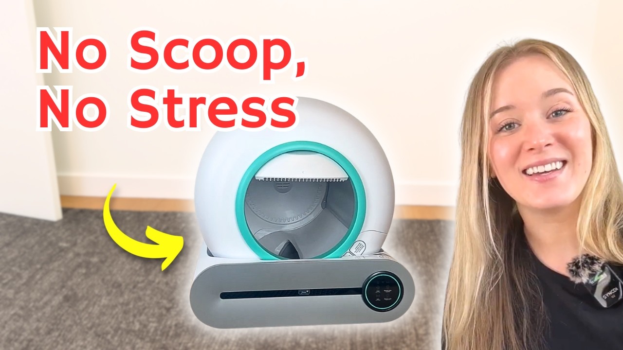 My Cat LOVES This Automatic Litter Box And Here's Why | EXPEDMAN / DuckSky