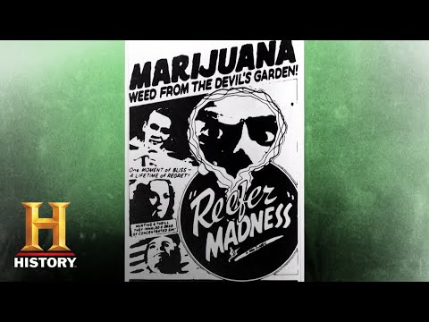 How Did Cannabis Become the World's Most Controversial Plant? | History