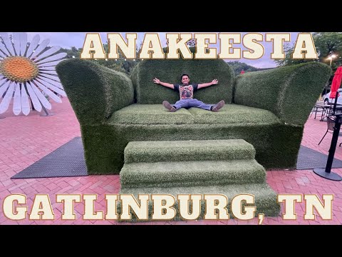 Anakeesta full tour and Astra Lumina light show in Gatlinburg, Tennessee