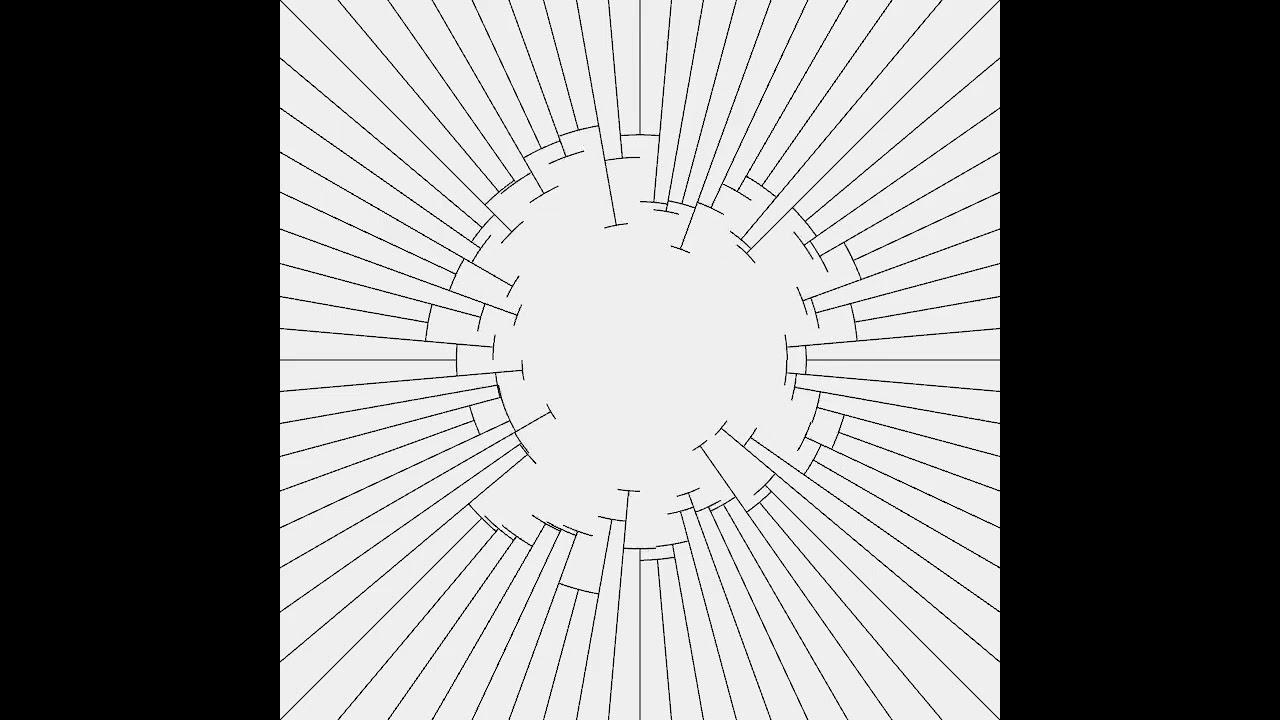 Circle formed by a T-shape. #openframeworks #programming #creativecoding