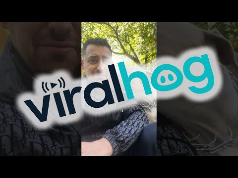 Dog Gives Love Nibbles || ViralHog