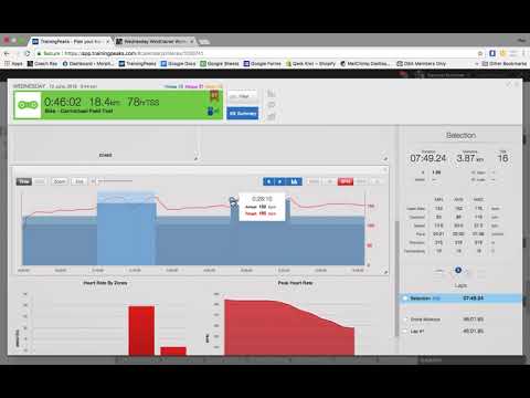 Analysing the Data from the Carmichael Field Test
