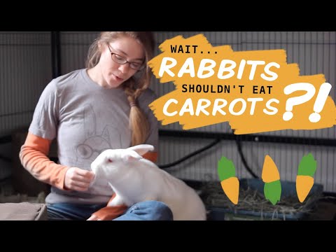 Do Rabbits Need to Eat Carrots?