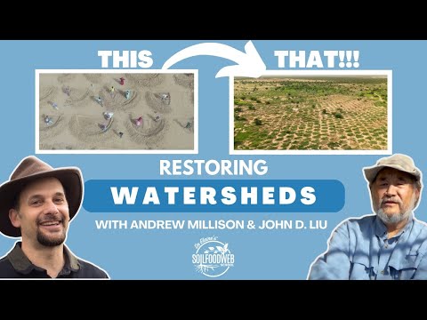 Restoring Watersheds with Andrew Millison & John D. Liu
