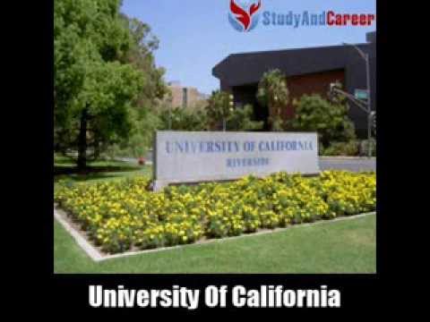 Top 10 Dermatology Schools In The World