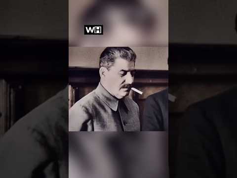Winter War: When Small Finland Was Attacked by the Soviet Union #ww2 #history #shorts