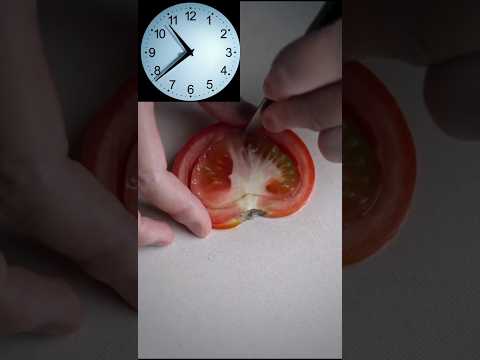 Pomodoro 😲Technique in Hindi – Boost Your Productivity😱 #facts