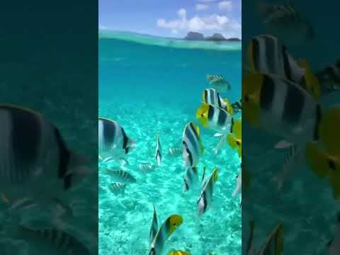 Beautiful stunning Bora Bora!