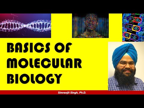 Molecular Biology - Part -1 - Dr. Simranjit Singh - Edufabrica