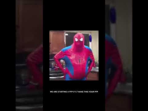 DO IT FOR SPIDERMAN… #spiderman #pfp