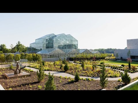 Plant Highlights from the Tassell-Wisner-Bottrall English Perennial Garden