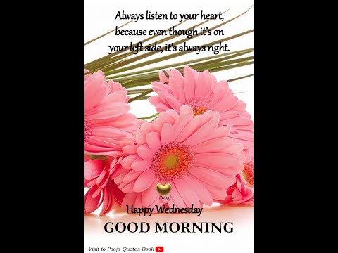 WEDNESDAY QUOTES /GOOD MORNING IMAGES /WHATSAPP STATUS/WHATSAPP DP PHOTOS/BEAUTIFUL IMAGES