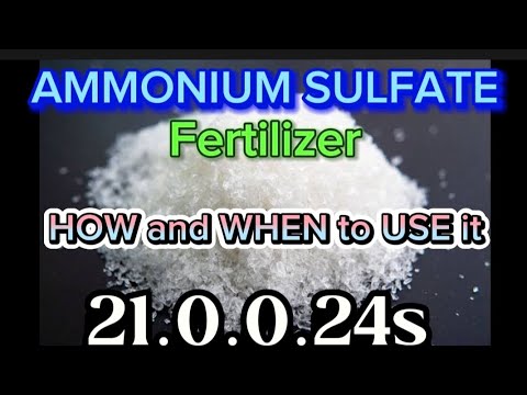 AMMONIUM SULFATE FERTILIZER | How and When to use it | 21.0.0.24s