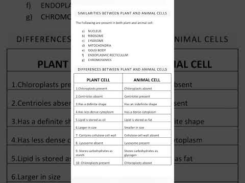 Animal Cell vs. Plant Cell: Interactive Comparison