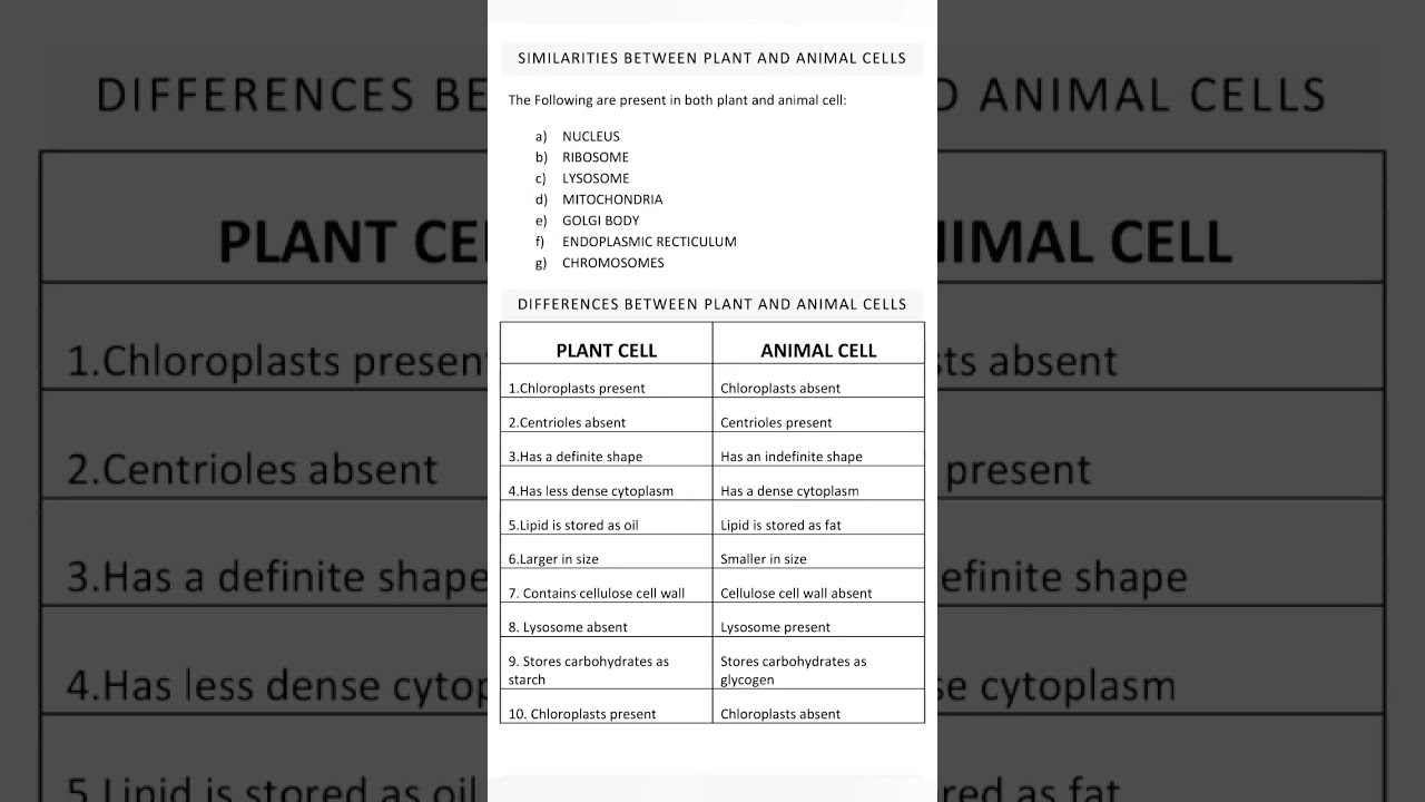 Animal Cell vs. Plant Cell: Interactive Comparison