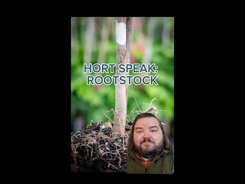 Hort Speak: Rootstock