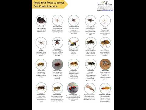 Common Pest Identification (Know Your Pests to Control Them.)