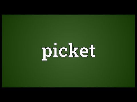 Picket Meaning