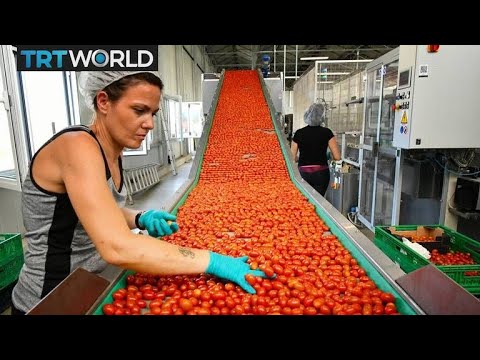 Spanish farmers demand better pricing for fresh produce | Money Talks