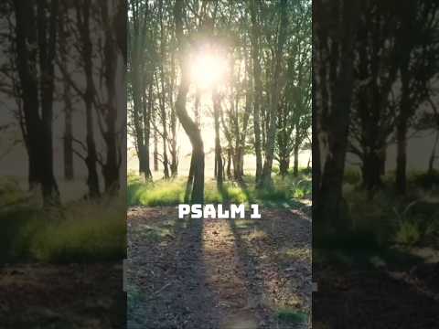 Psalm 1 – A Blessed LifeA peaceful reading of Psalm 1 #biblestudy #godsword