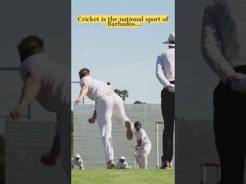 Cricket in Barbados