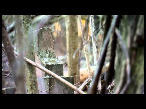 Waterfall General (Garrawarra) Cemetery Site