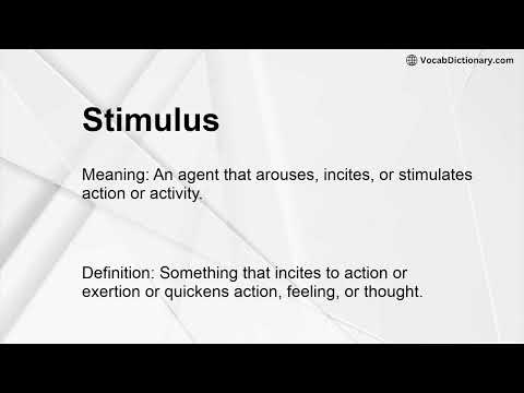 Stimulus Meaning