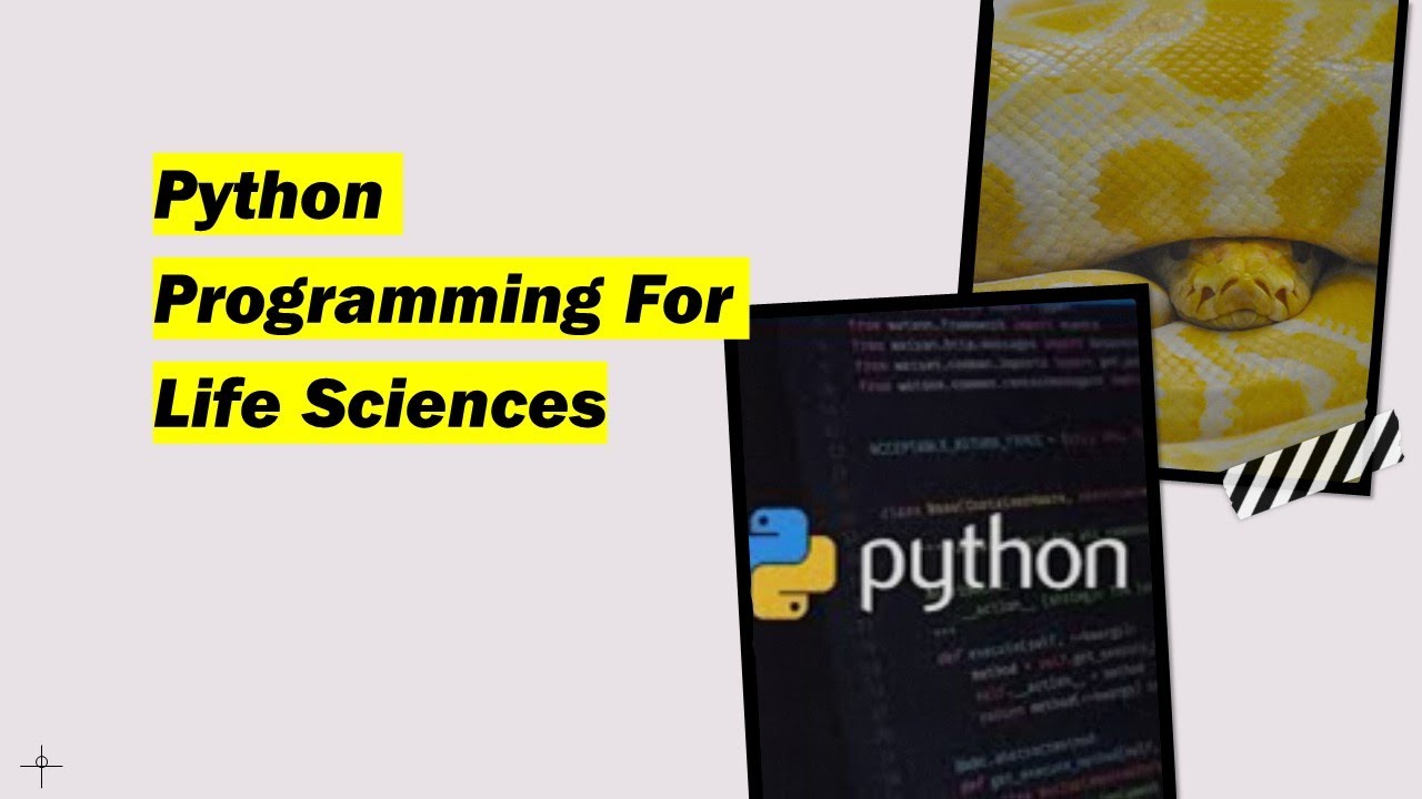 Introduction to Python Programming For Life Sciences Explained in 5 Minutes