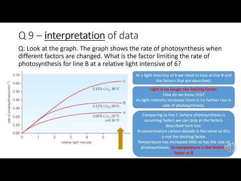 Kerboodle B8 Photosynthesis HL 1 narration of feedback limiting factor graphs