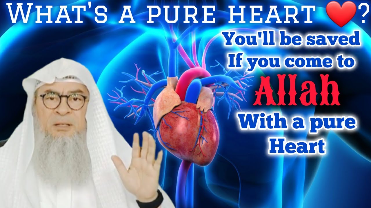 What's a pure heart ❤? Ayah 