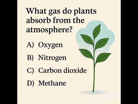 What gas do plants absorb from the atmosphere?#Photosynthesis #CarbonDioxide #PlantFacts