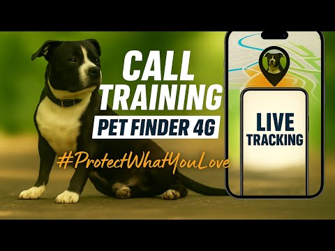 TOGETHER AND CONNECTED!🧡CALL TRAINING 🐶#pet Finder #4g