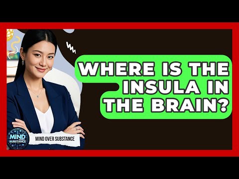 Where Is The Insula In The Brain? - Mind Over Substance