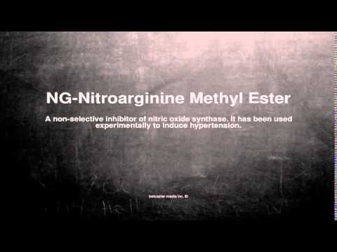 Medical vocabulary: What does NG-Nitroarginine Methyl Ester mean