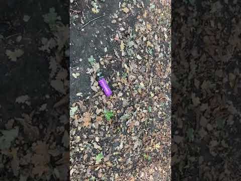 Definition of scum: People who drop litter in the woods because they think they are too important.