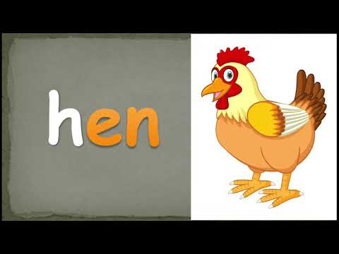 en words , CVC, Read and practice with fun!