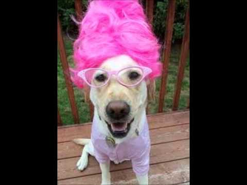 Georgie Girl Movie