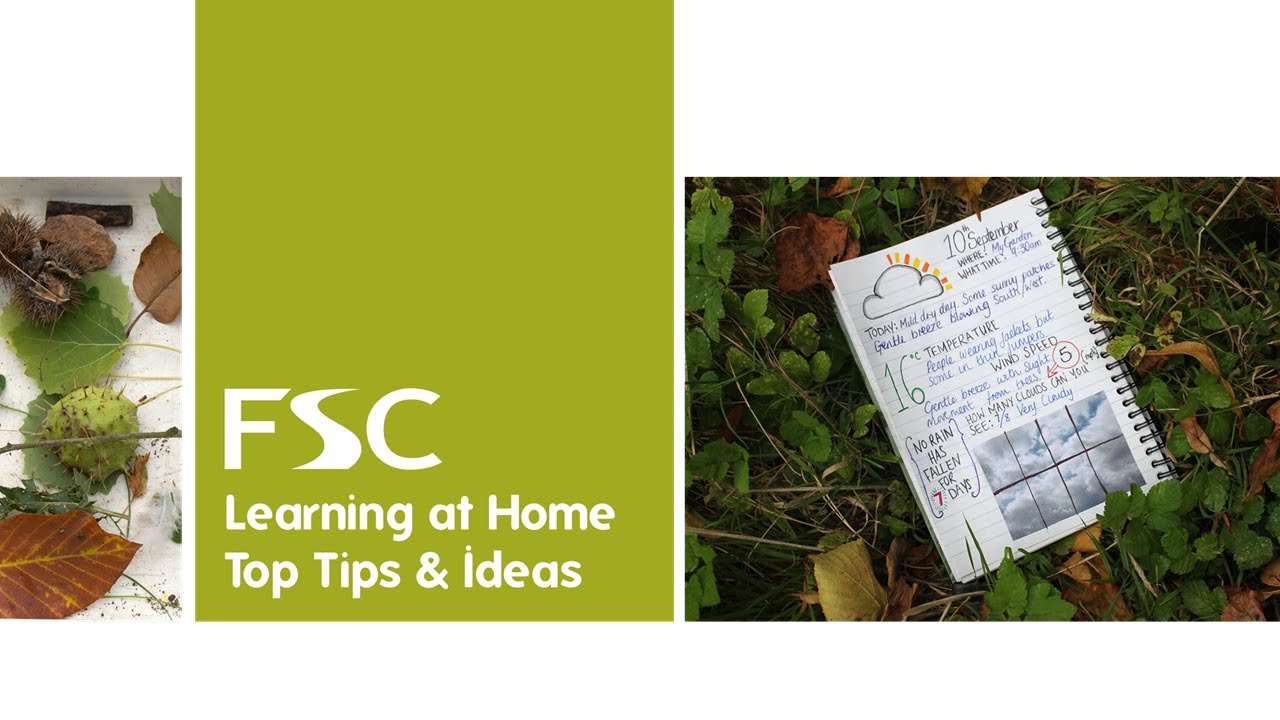 A few tips for learning at home from FSC! 🌿