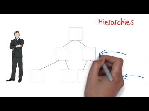 Business Studies - Organisation Structure: Business Exam Tips