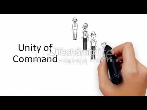 Unity of Command