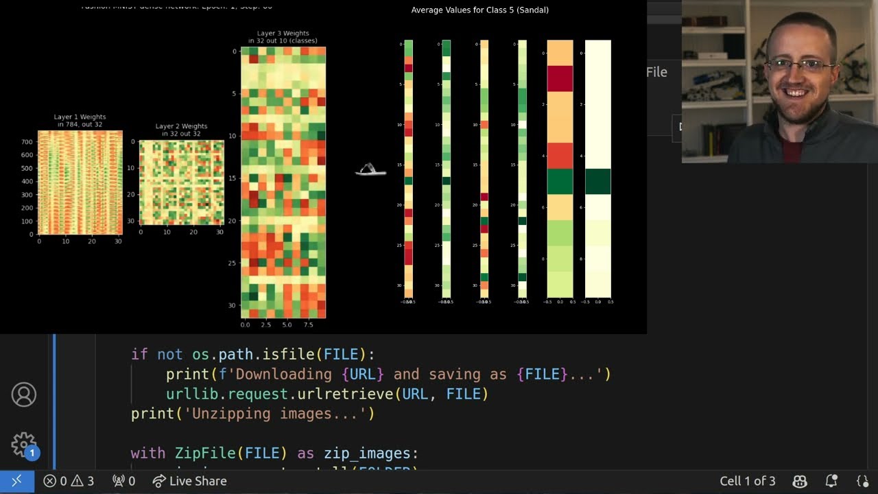 Visualizing Neural Network Internals