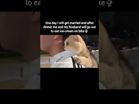 Future Me #relatable #meme #couplegoals #memes #couple #couples #delulu #boyfriend #cats #cat #fyp