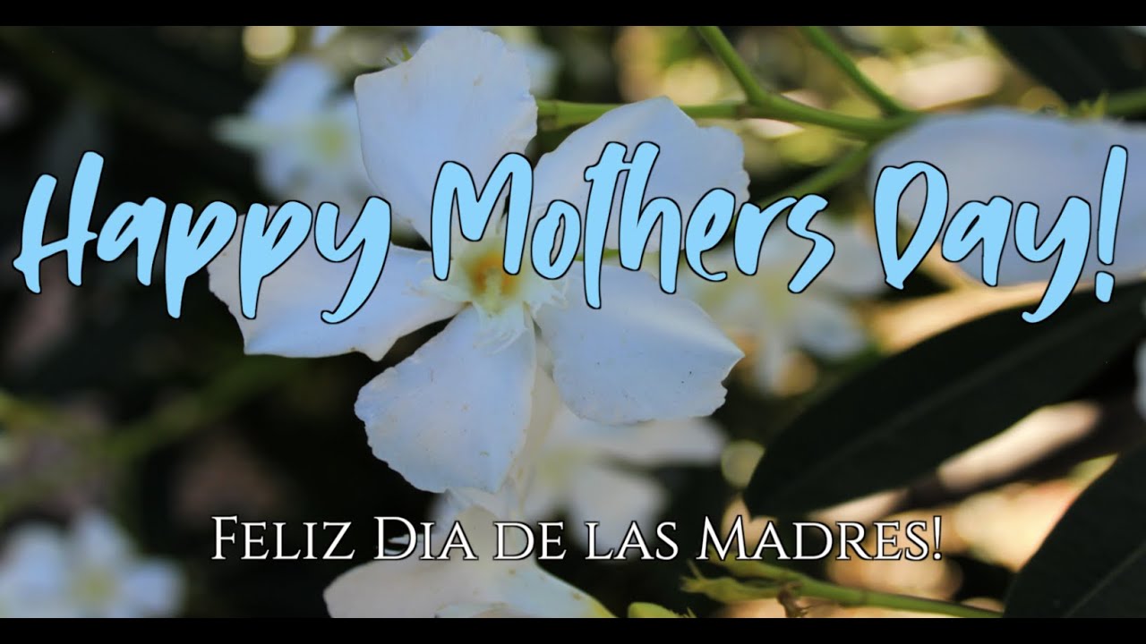 Happy Mothers Day / Feliz Dia de las Madres!