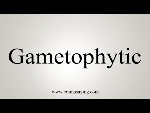 How To Say Gametophytic