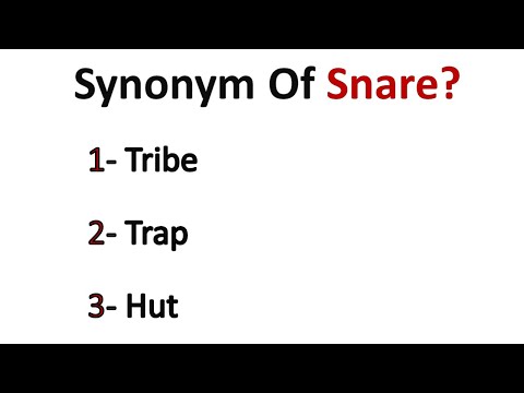 Test Your English Vocabulary - Synonyms Quiz - 11 -