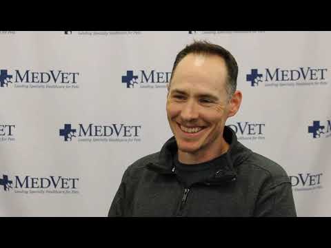 Meet the Specialist - Dr. Jay Gladden, Veterinary Emergency & Critical Care Specialist