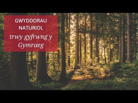 Astudio Bioleg ym Mhrifysgol Bangor