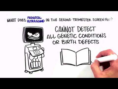 Prenatal Screening Options: Prenatal ultrasound
