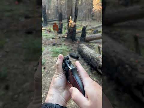 Smith and Wesson Model 19 Carry Comp