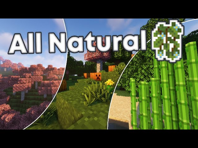 All Natural | A rethink of the natural world | 1.18 Minecraft Texture Pack
